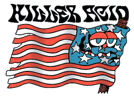 Pins – Killer Acid